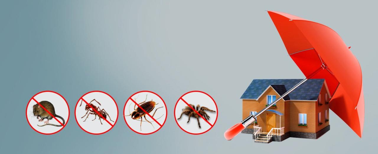 Oakville Pest Control | Pest Extermination & Rodent Control